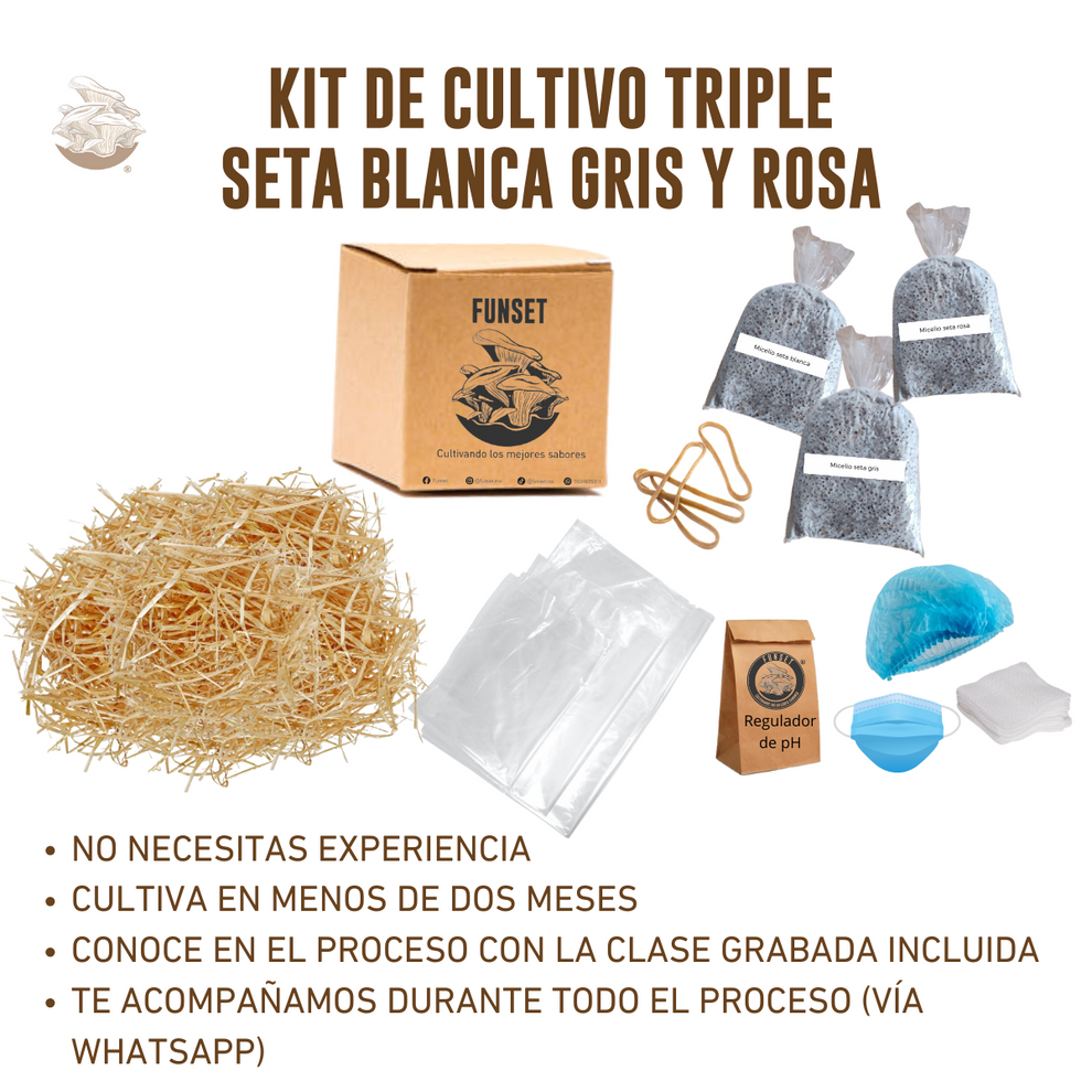 KIT TRADICIONAL TRIPLE CULTIVO DE SETAS – Funset MX